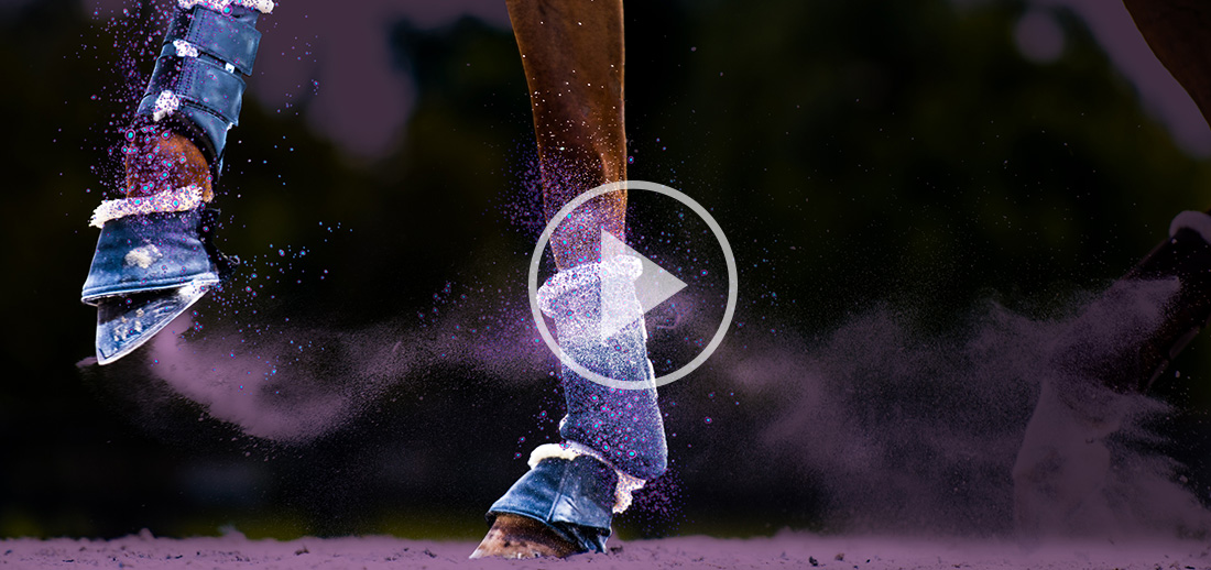 Why choose Arti-Cell® Forte? - Arti-Cell® Forte