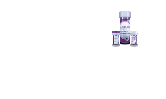 Why choose Arti-Cell® Forte? - Arti-Cell® Forte